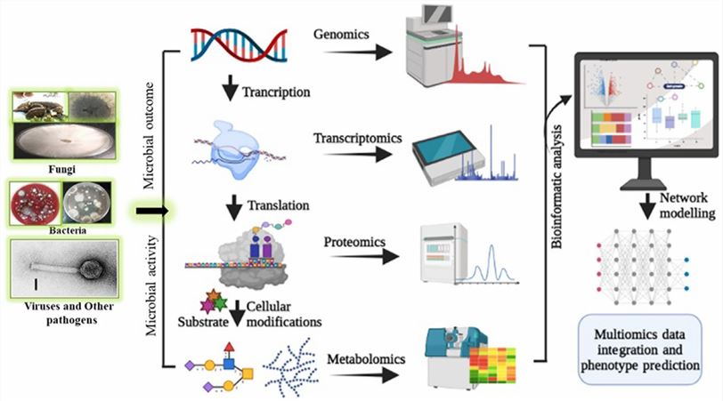 Mushroom Multi-Omics Cojoint Analysis Service - Mushroom - Lifeasible Mushroom Multi-Omics Cojoint Analysis Service - Mushroom - Lifeasible