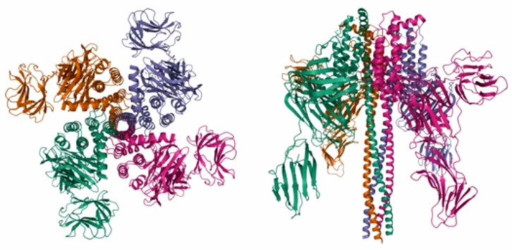 Development of Bacterial Insecticides - Lifeasible