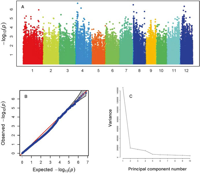 Genome-Wide Association Study (GWAS) for Plant Breeding - Lifeasible