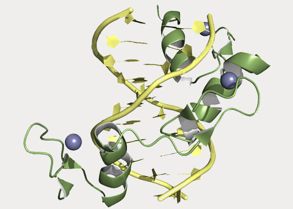 Plant Genetic Engineering - Lifeasible Plant Genetic Engineering - Lifeasible