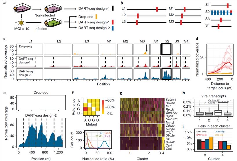 Droplet-assisted RNA Targeting by Single-cell Sequencing - Lifeasible