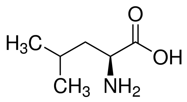 L-Leucine - Lifeasible