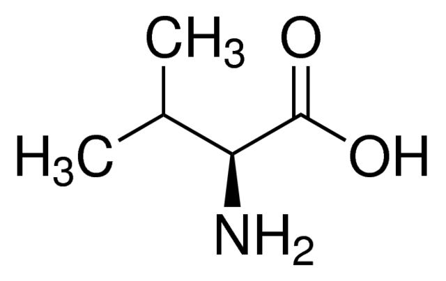 L-Valine - Lifeasible