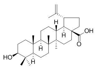 Betulinic acid - Lifeasible