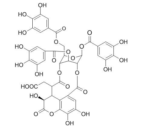 Chebulinic acid - Lifeasible