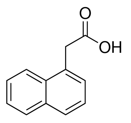 NAA solution - Lifeasible