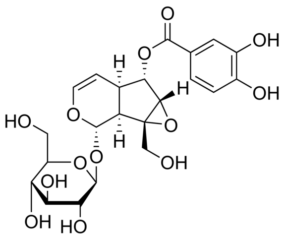 Verproside - Lifeasible