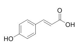 trans-4-Hydroxycinnamic acid - Lifeasible